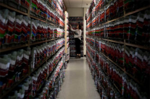 Open Arrest Warrants Overwhelm America