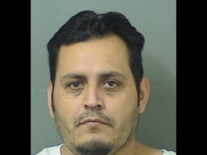 Florida Man Arrested for Multiple Counts Due to Used Car Sales Fraud